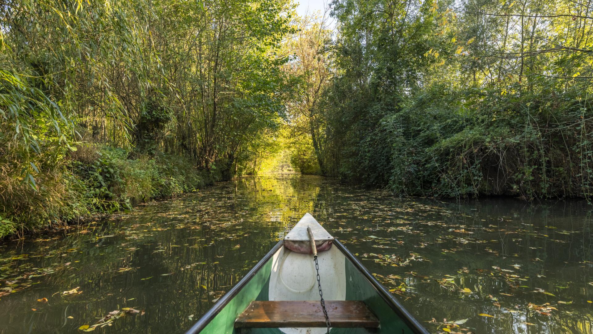 Le Marais Poitevin, labellisé Parc Naturel Régional et Grand Site de ...